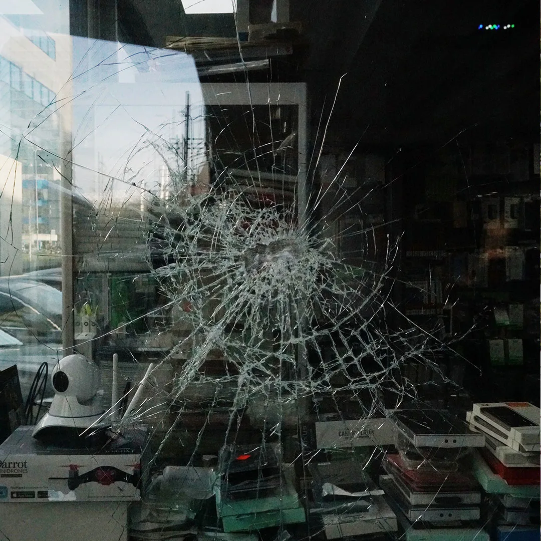 Natural History Museum Safety Window Film by Ultrastop | UK